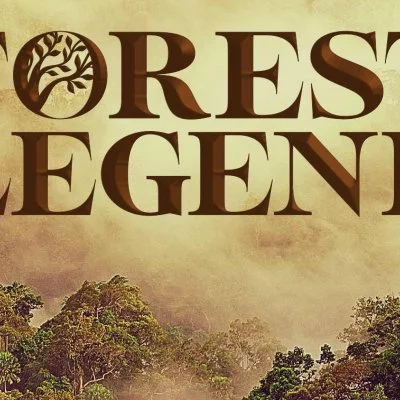 Forest Legend - a tribute to heritage of nature » Jawor-Parkiet